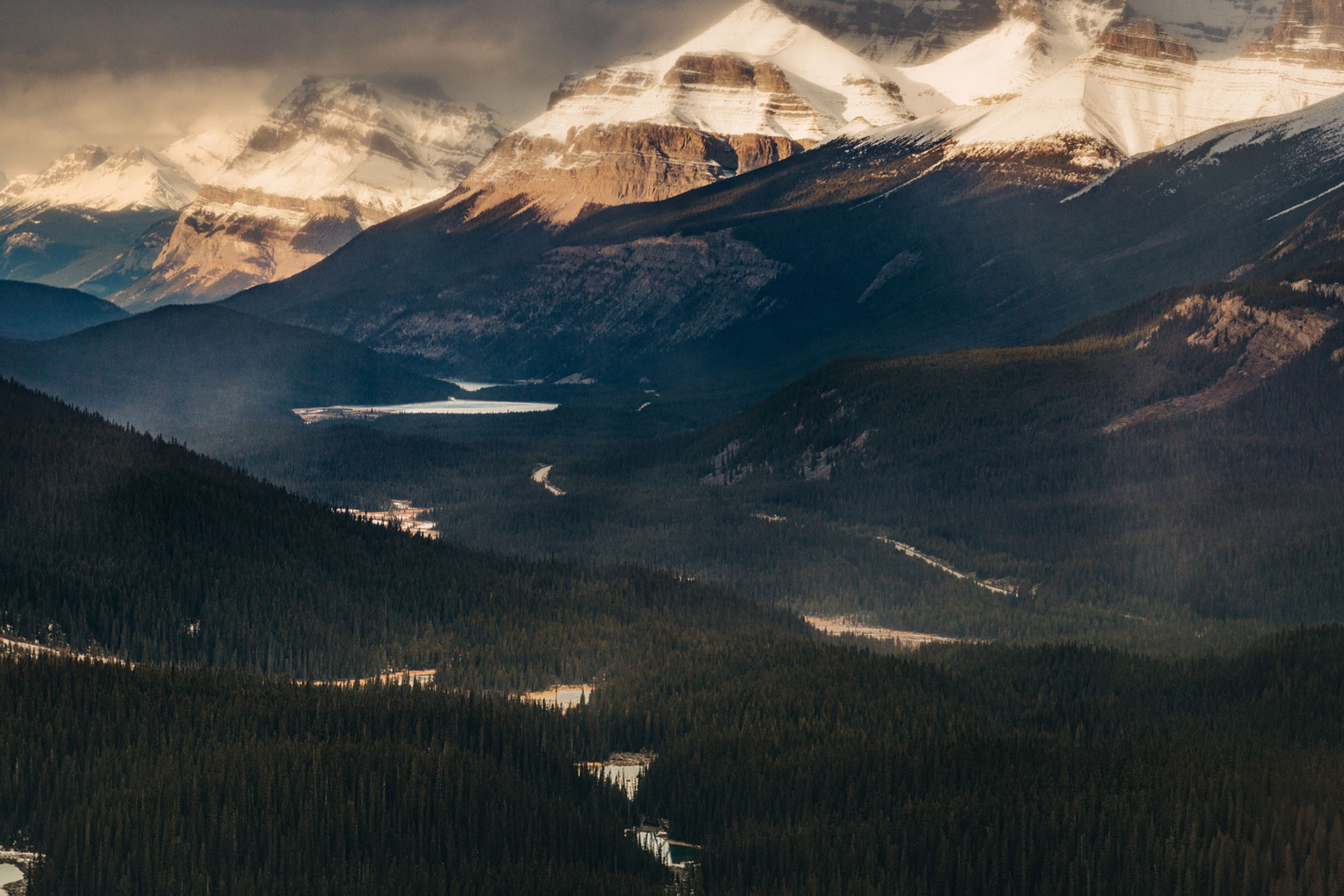 The Resilient Heartbeat of Jasper - edwardrossphotography.com